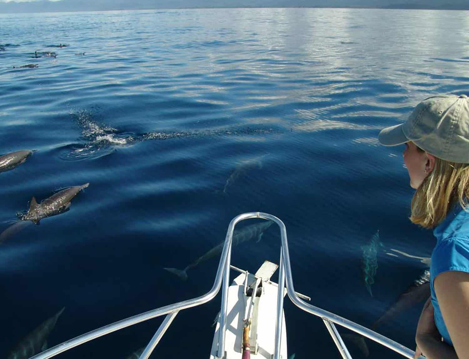 Golfo Dulce Excursion by Boat
