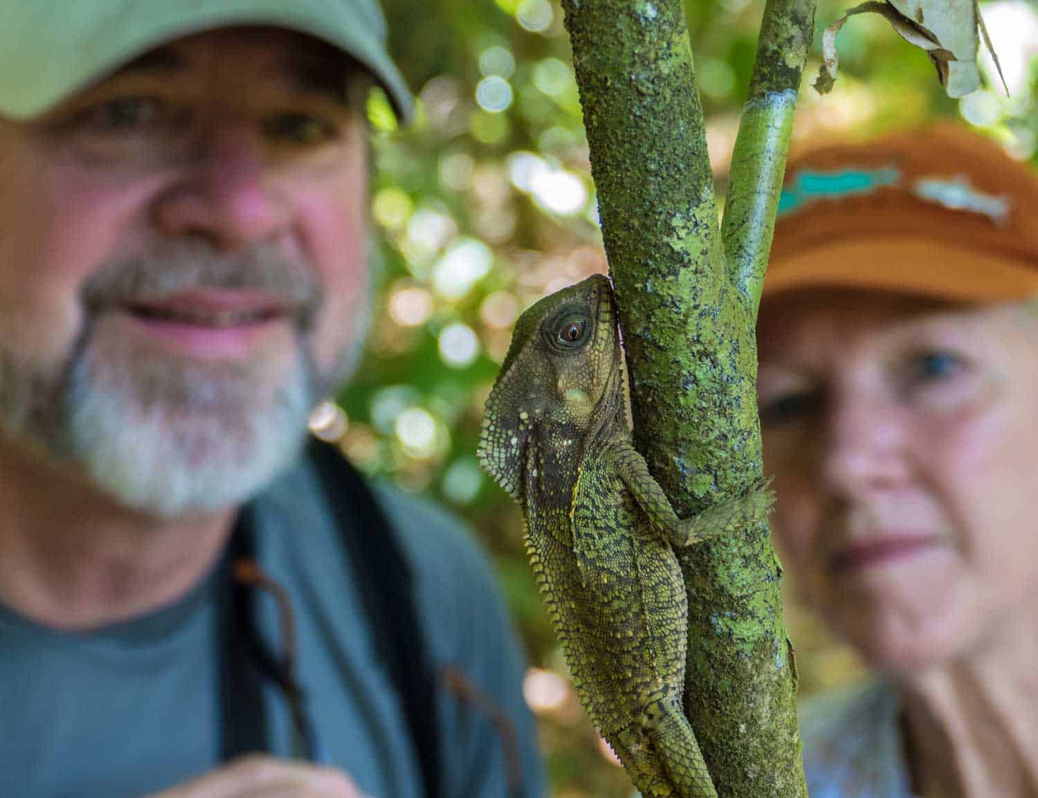 Reptile and Amphibian Tour