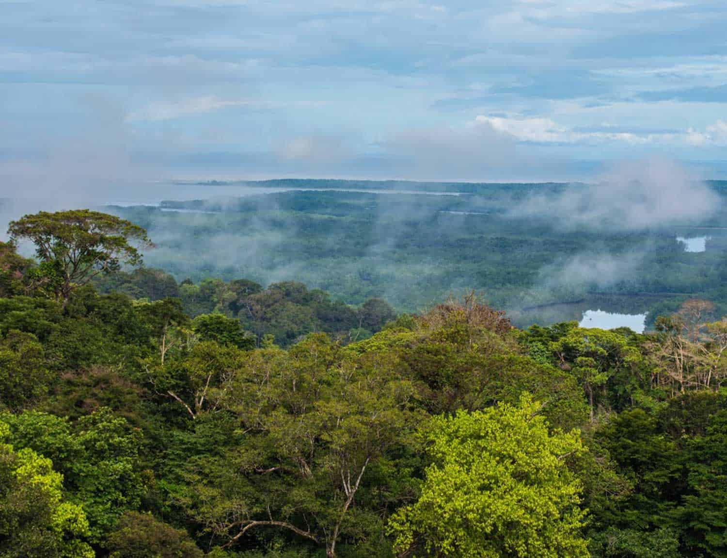 The Sierpe River Tour